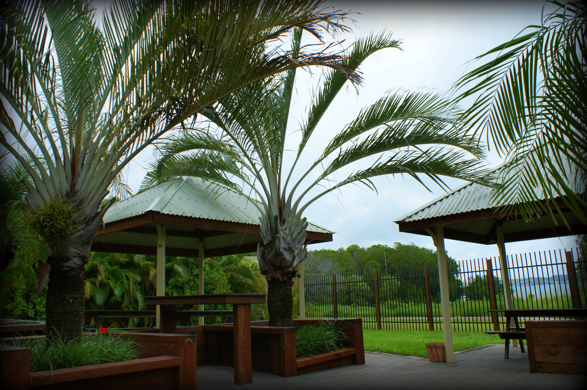 Wongai Beach Hotel | Affordable Horn Island Accommodation - Pub Rooms